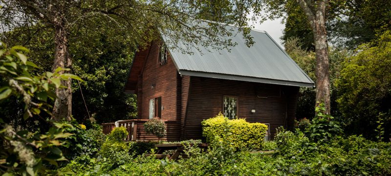 Viewpoint Cabins & Guesthouse – Luxurious Self Catering Accommodation ...